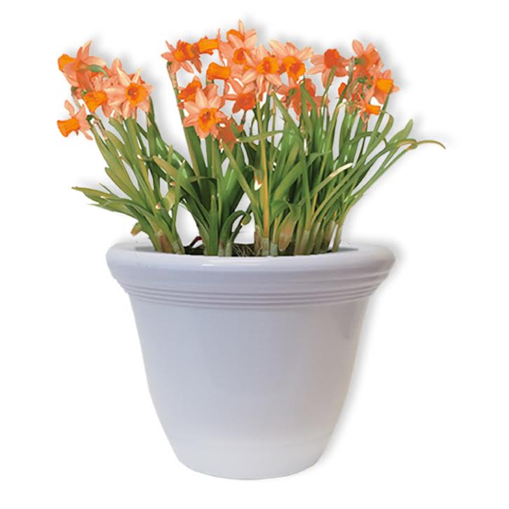 16" Capri High Gloss Planter: Misco Home & Garden