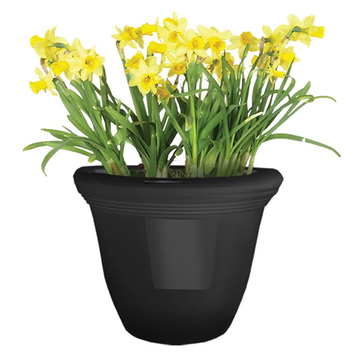9" Capri High Gloss Planter: Misco Home & Garden