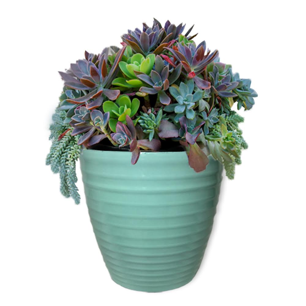 11.9” Wave Planter: Misco Home & Garden