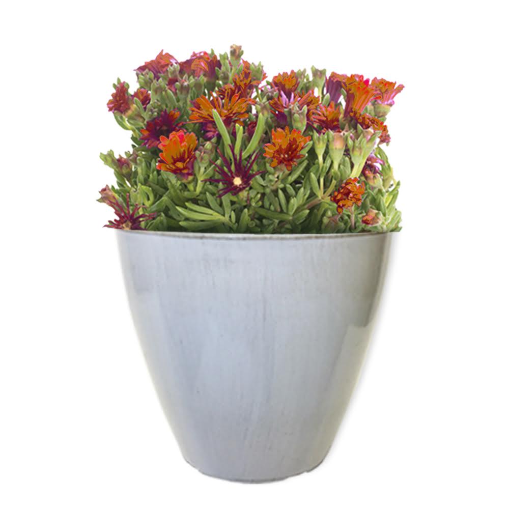 12.8" Brushed Egg Planter: Misco Home & Garden