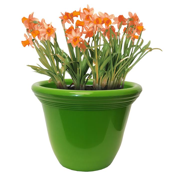 7" Capri High Gloss Planter: Misco Home & Garden